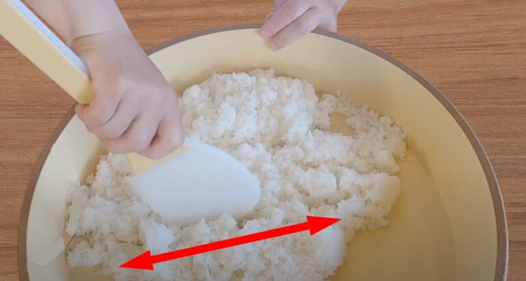 Ultimate Guide & Essentials for Sushi Rice | HASEGAWA Kitchen Wares